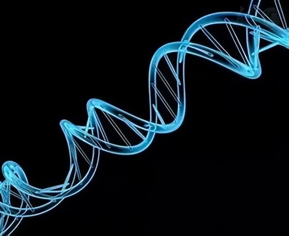 Gene Mutations and Inherited Diseases: Human Genetic Variability - iMedia