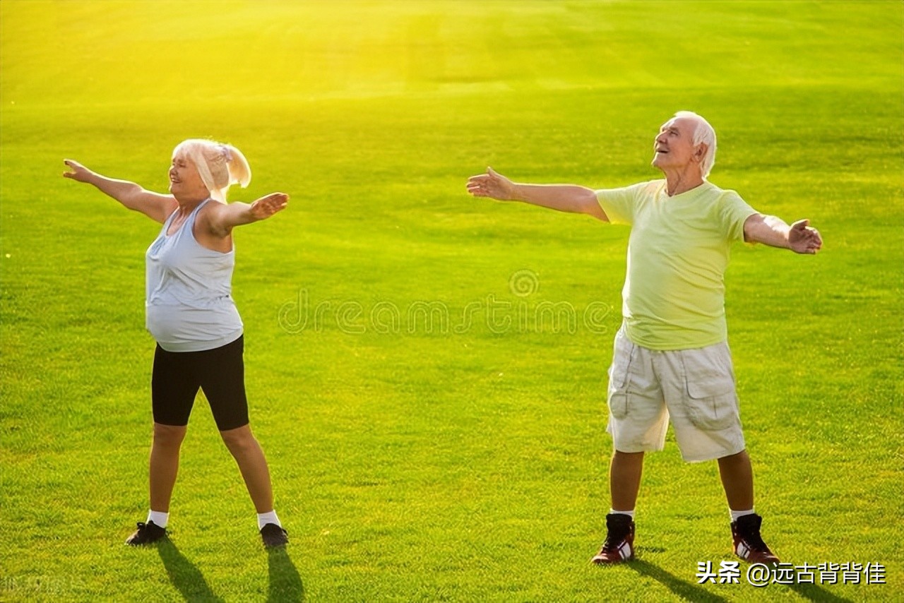 A Guide to Rehabilitation and Exercise for the Elderly - iNEWS