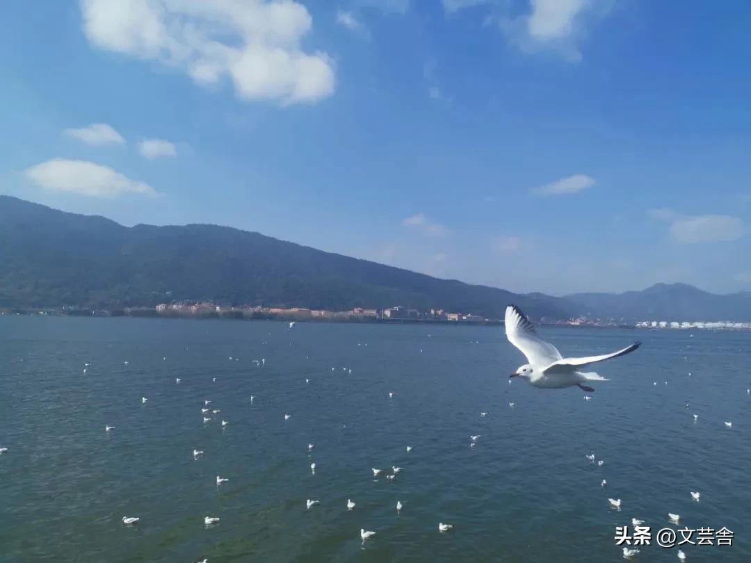 "Spring City" Kunming: An Excellent City for Sightseeing in Four ...
