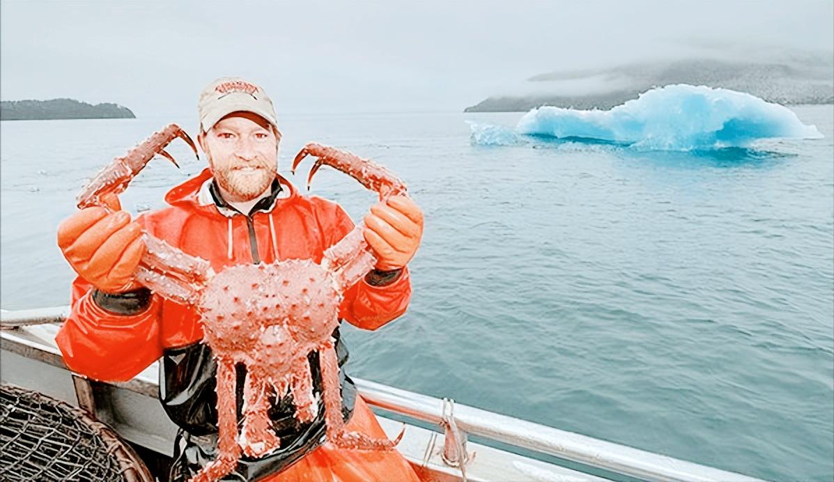 "King crab" invades Norwegian waters, with a body length of over 1.8 ...