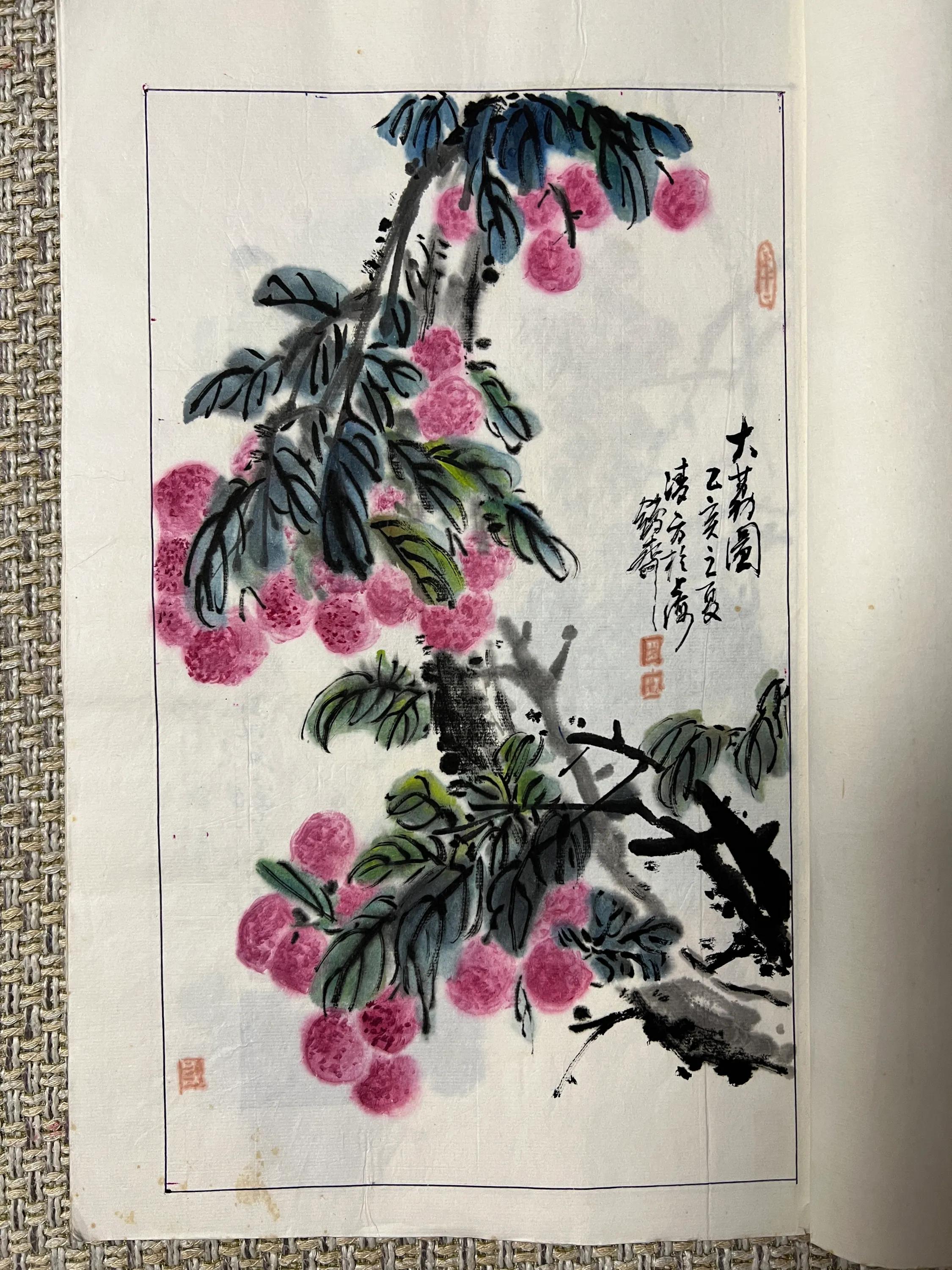Wang Ruixin Flower and Bird Painting Collection (hand-painted) - iMedia