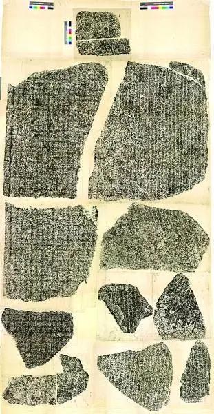 What is the significance of the origin and evolution of Turkic language ...