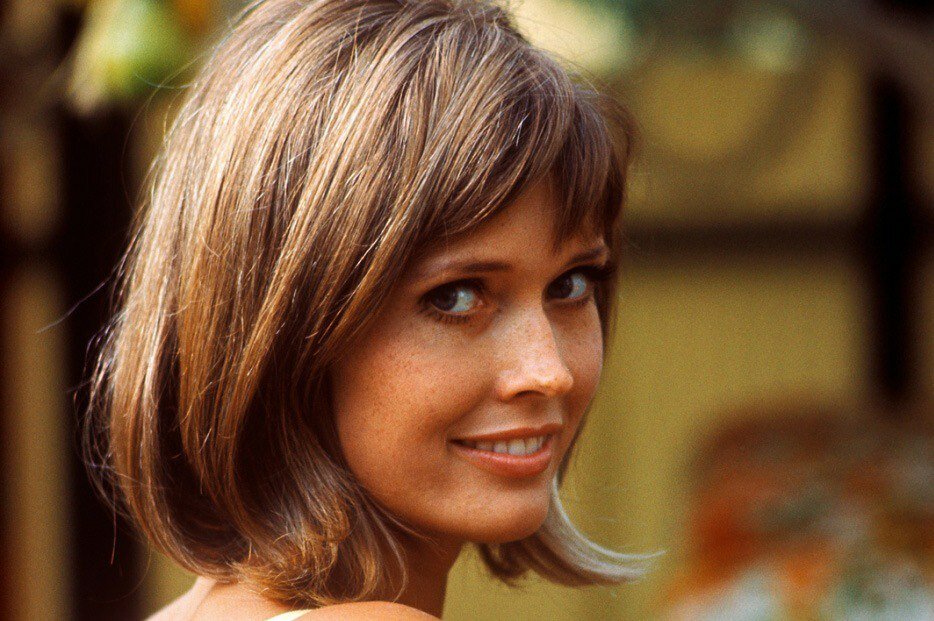 Playboy Magazine Cover Girl 1971-1975 - iMedia