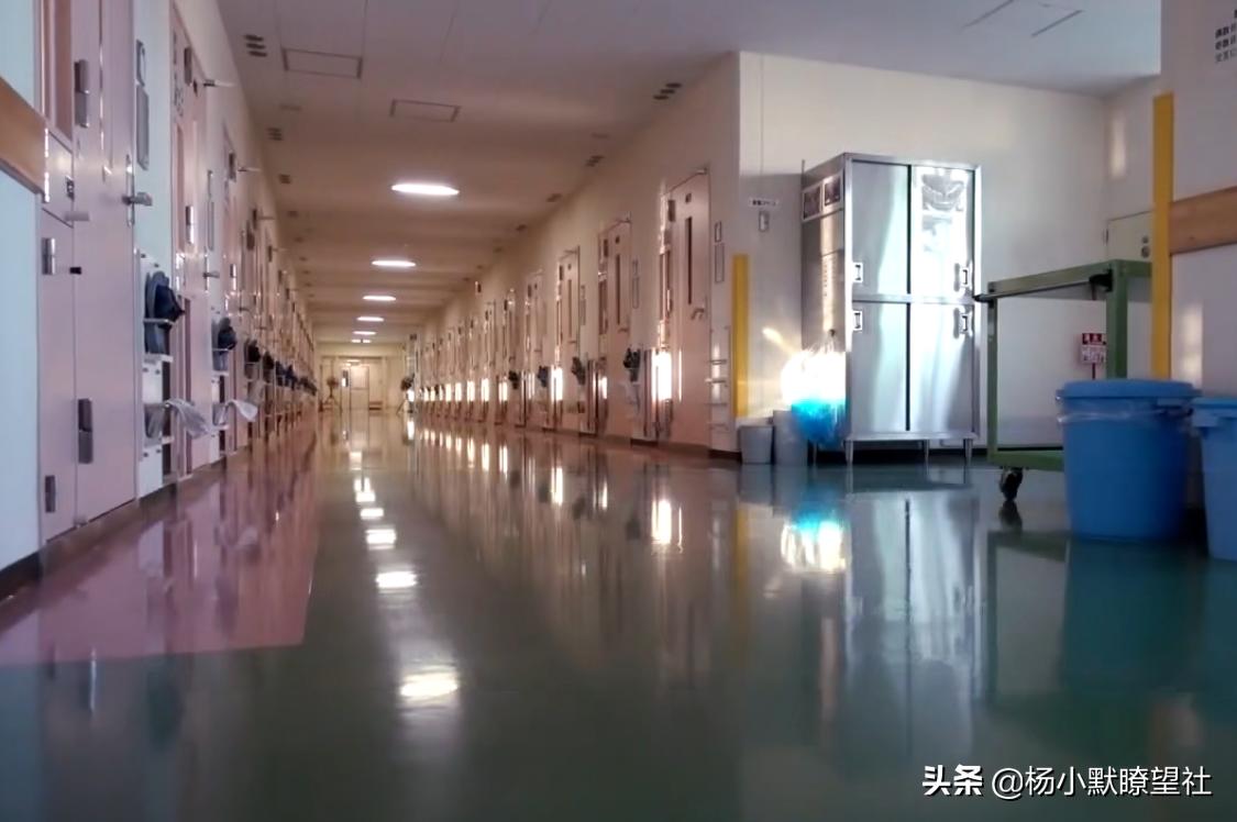 Japanese prisons: prisoners wear green prison uniforms, they must raise ...