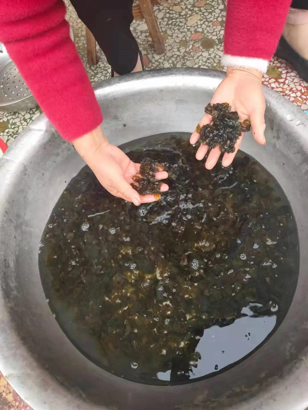 Reminds me of the Di Qulian (Di Ruan) - iNEWS