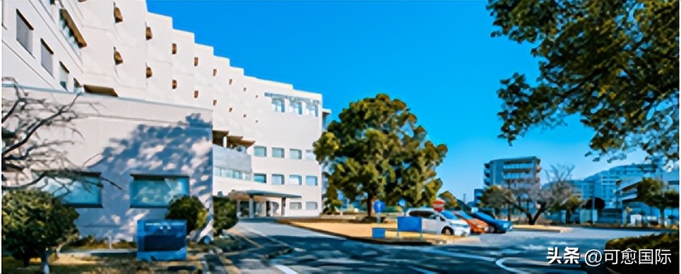 Japan QST Hospital (Japanese Heavy Ion Authoritative Hospital) - iNEWS