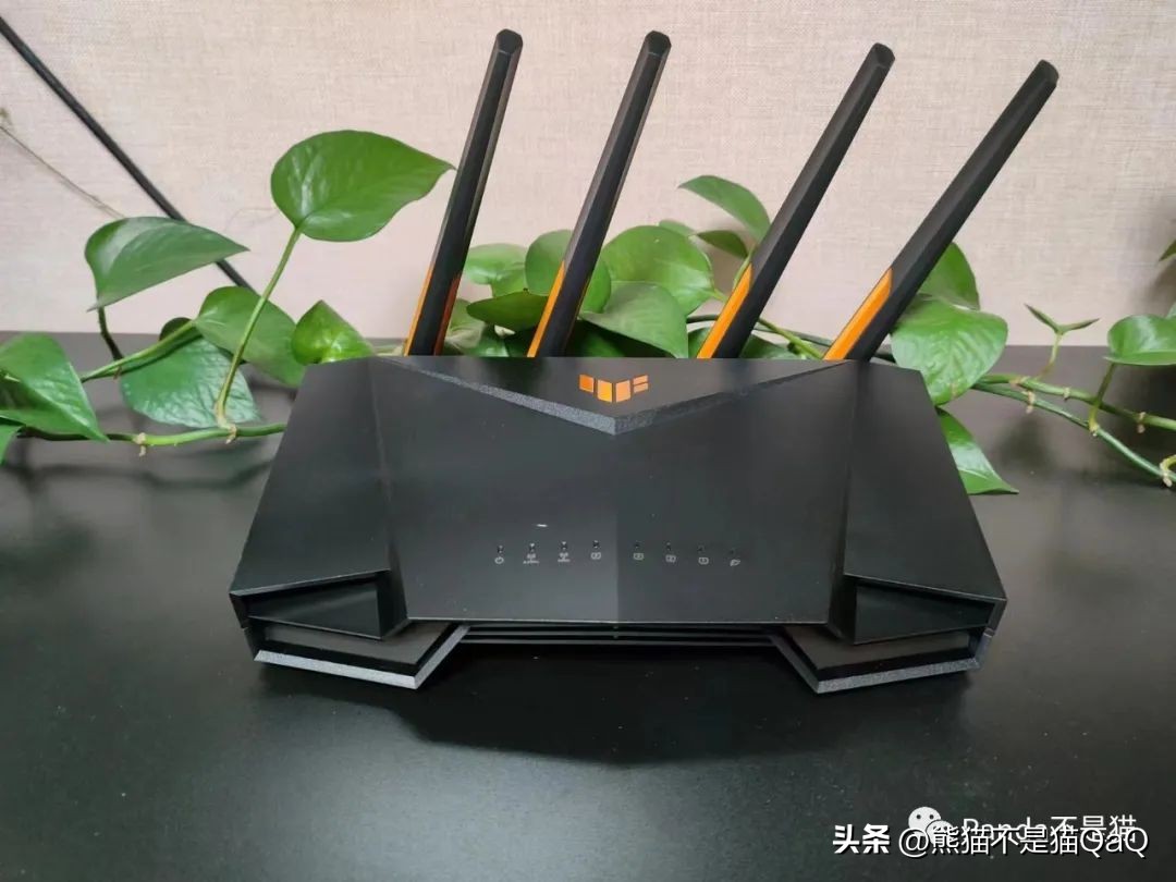 The daughter-in-law looked at my bunch of routers and called me a ...