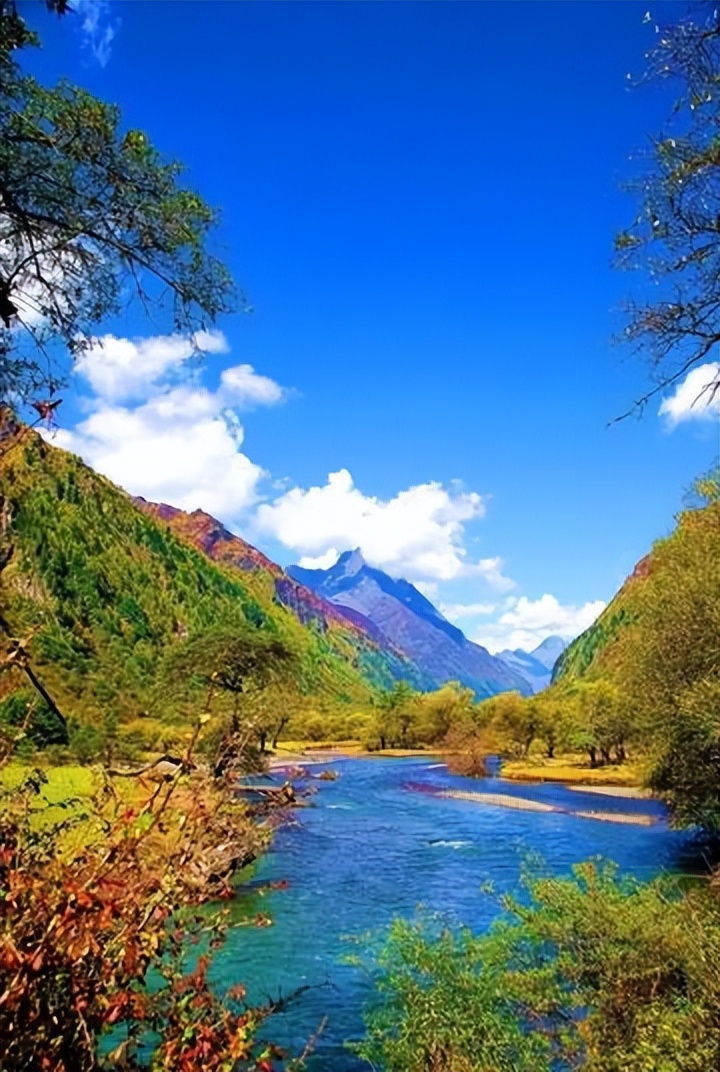 The natural environment is the common home of mankind: How do teachers ...