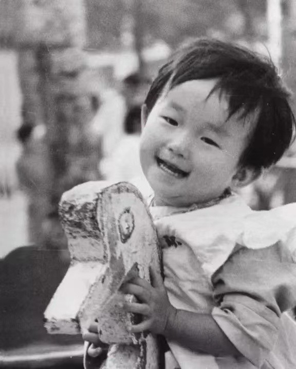 Gu Chunfang, the most beautiful woman in Changshu, defrauded 1.7 ...