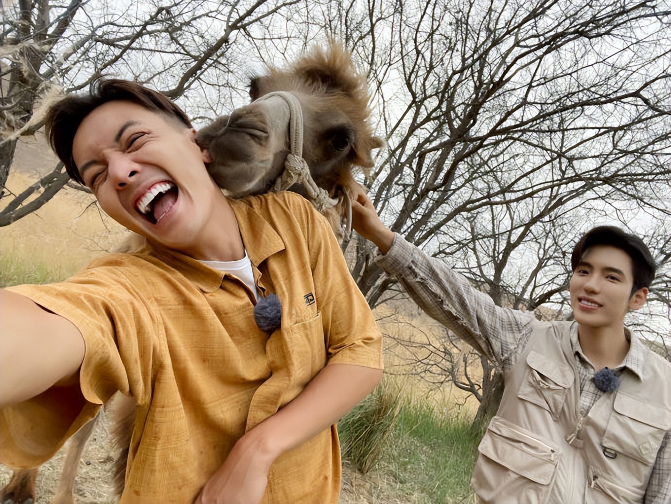 Chen Weiting's camping photos are cute and funny when he is kissed by a ...