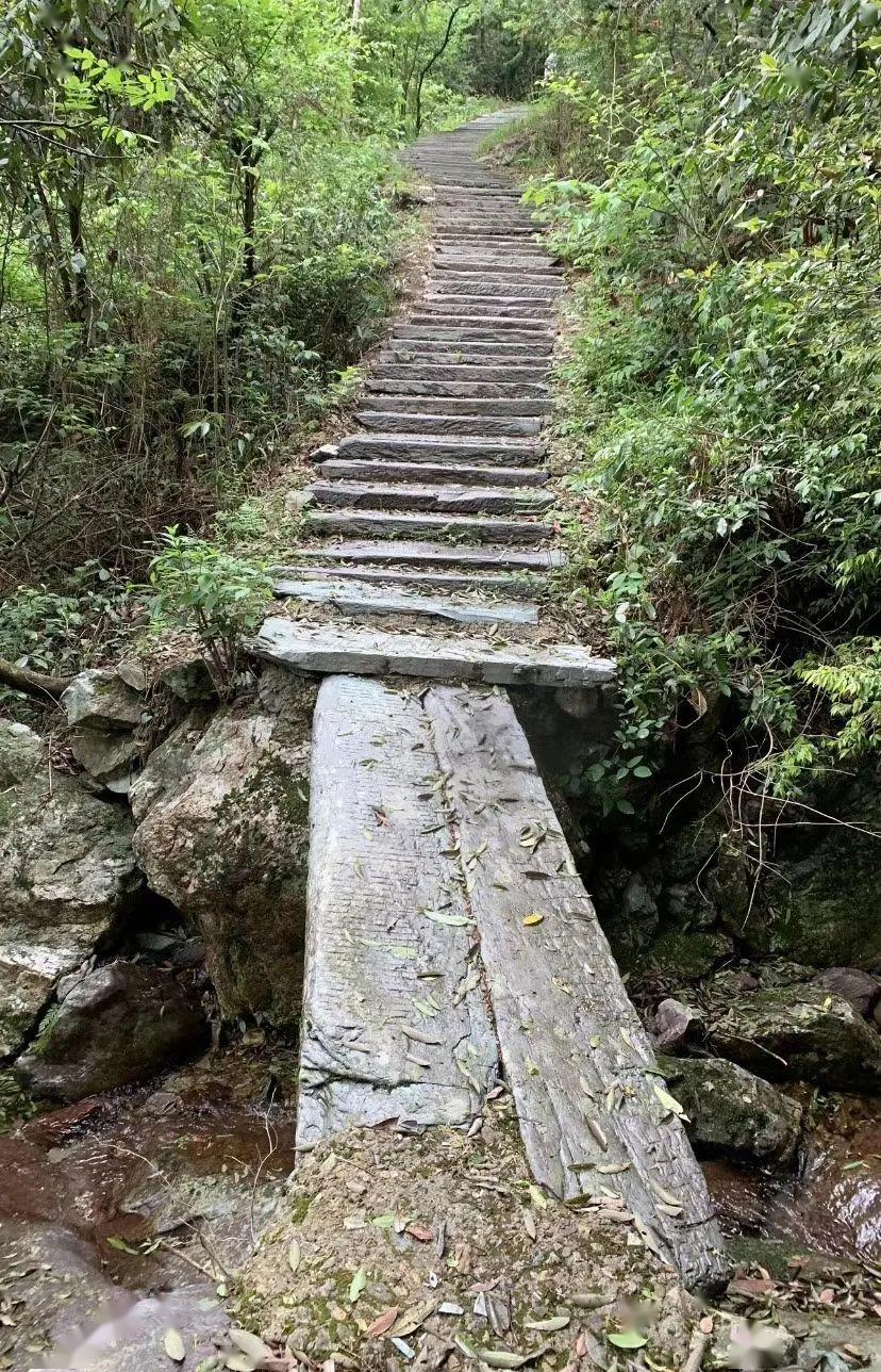 Beech Root Ridge on the Ancient Emblem Road - iNEWS