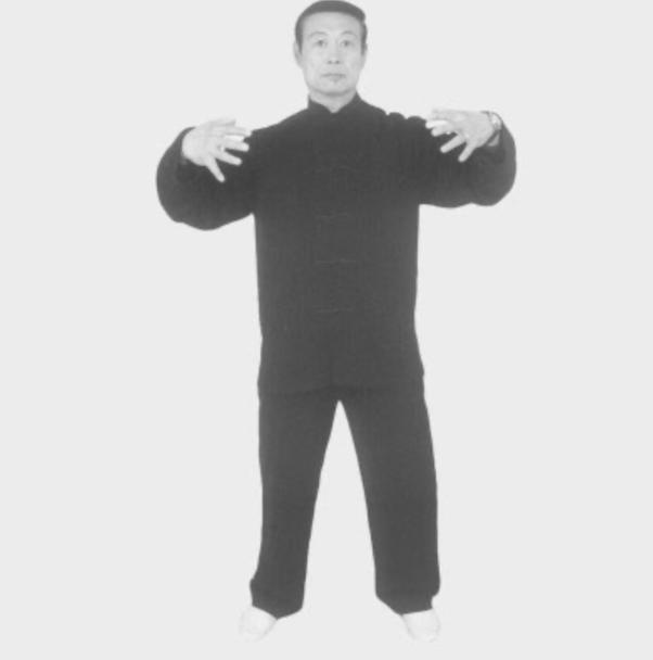 Baduanjin can improve and learn the stance method: standing-sitting ...