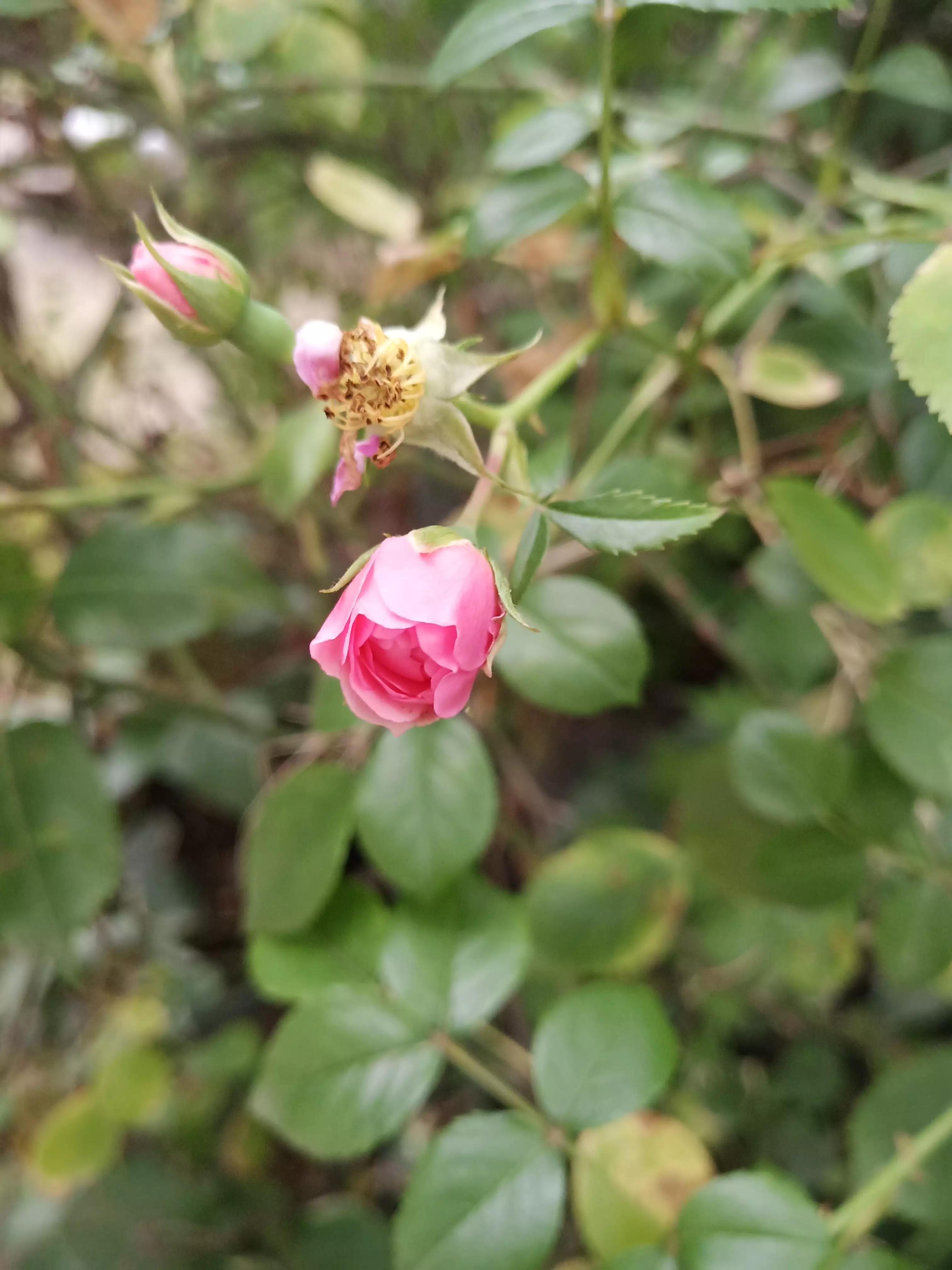 Outstanding figure in the Warring States period - the genius doctor ...