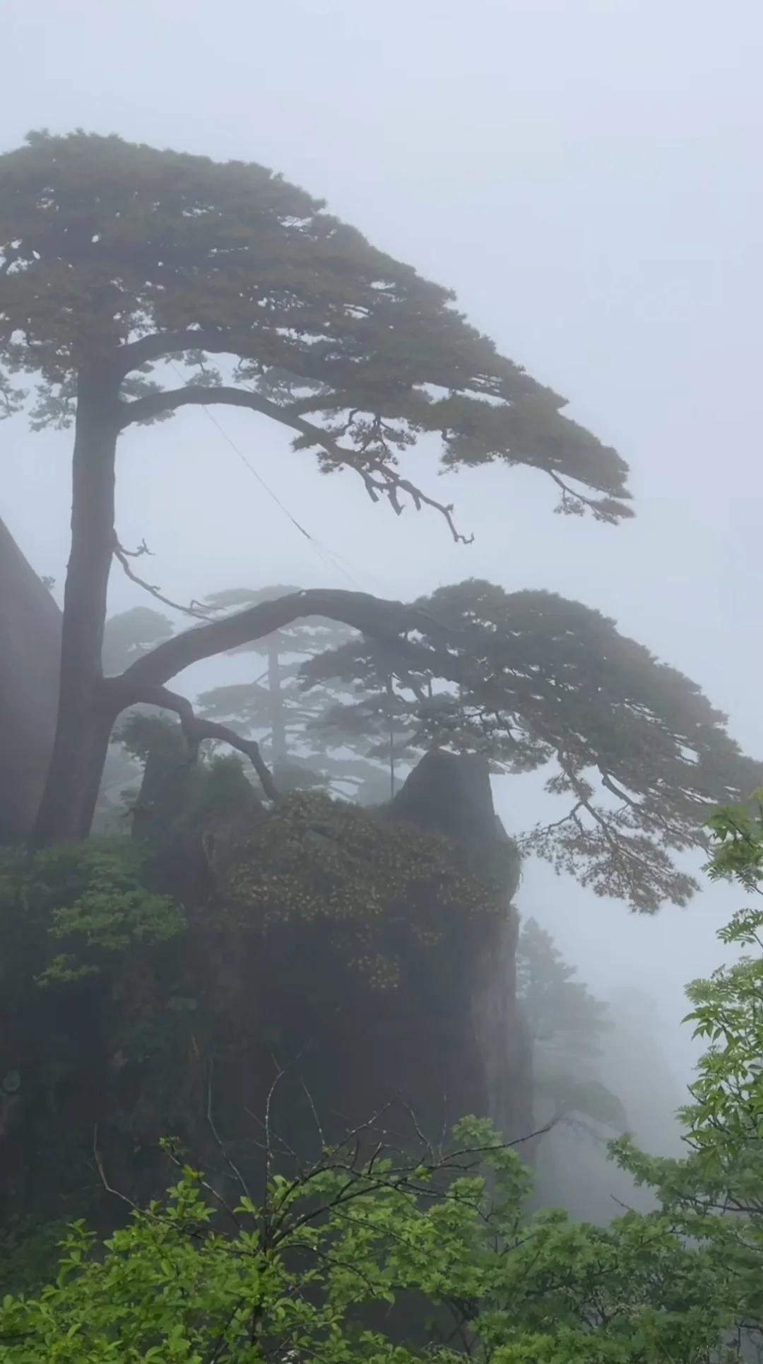 Only because Huangshan and the Yellow Emperor have "tainted" - iNEWS