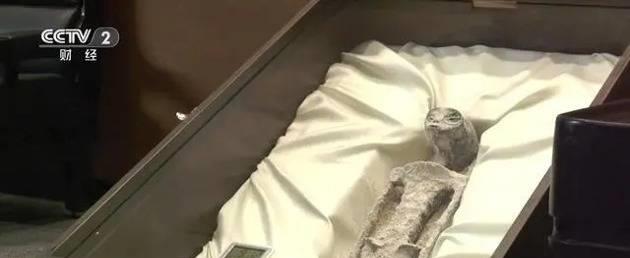 New development of Mexican alien mummy that is not man-made X-ray CT ...