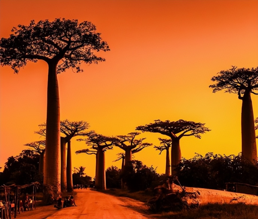 The Wonders of Madagascar: Natural Treasures and Mysteries of ...