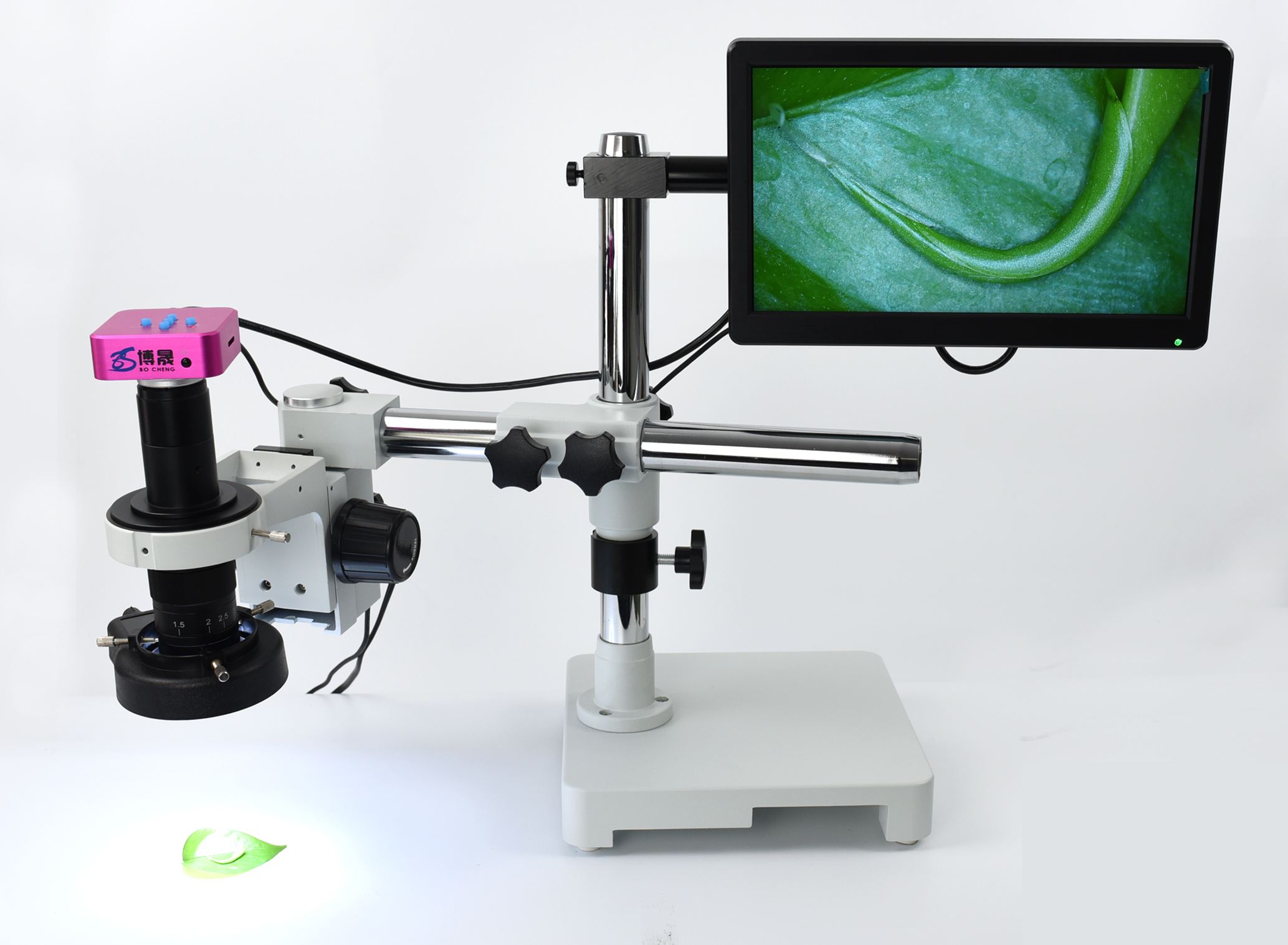 Correlative low-temperature super-resolution light and electron ...