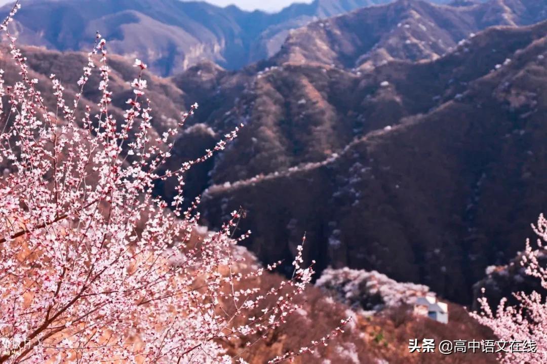 During the Spring Festival, I will send you the most beautiful poems of ...