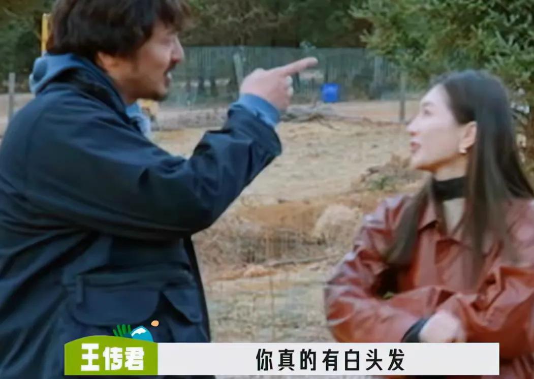 It was revealed that Jiang Shuying didn't like Wang Chuanjun's reasons ...