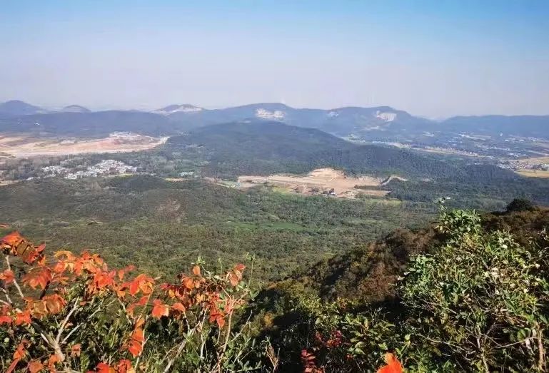 Enjoy spring on foot! These ten mountain greenways in Jurong are worth ...