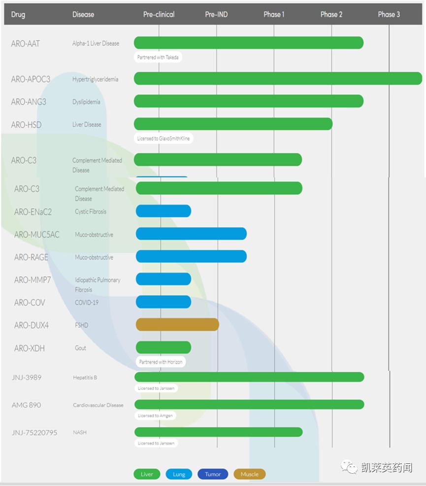 Royalty acquires royalties interest in Amgen Olpasiran from Arrowhead ...
