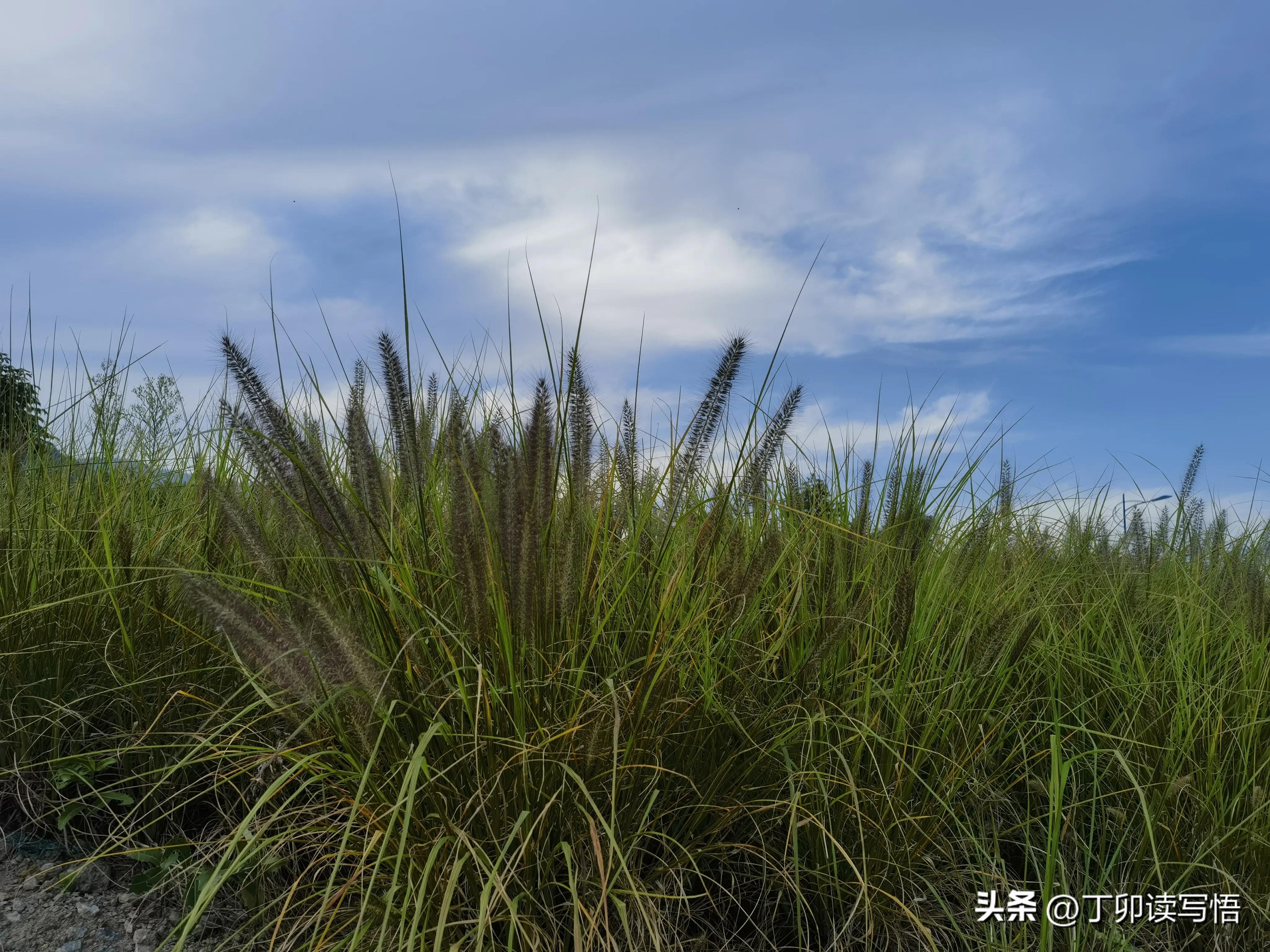 535. What can I learn from Bai Juyi in reading poetry and writing? - iNEWS