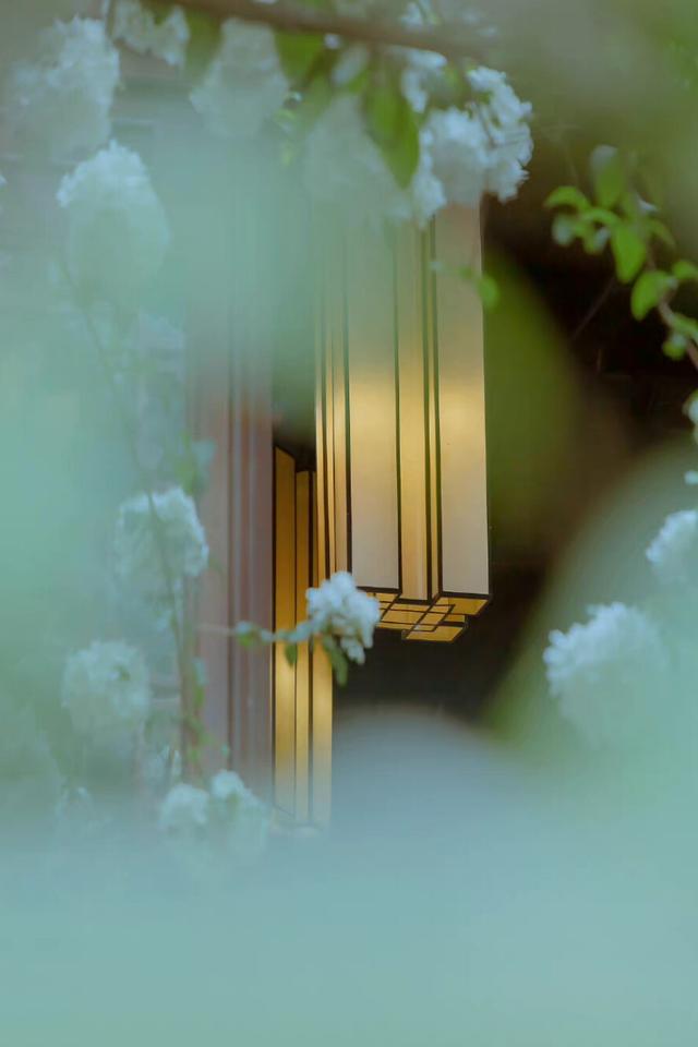 Yang Wanli: 4 lines of poems, writing the "cool" summer, and also ...