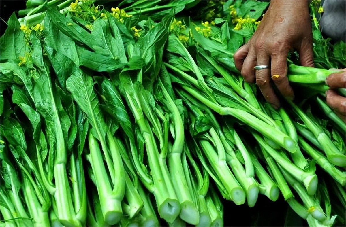 Of the 10 most expensive vegetables in the world, 4 are listed in China ...