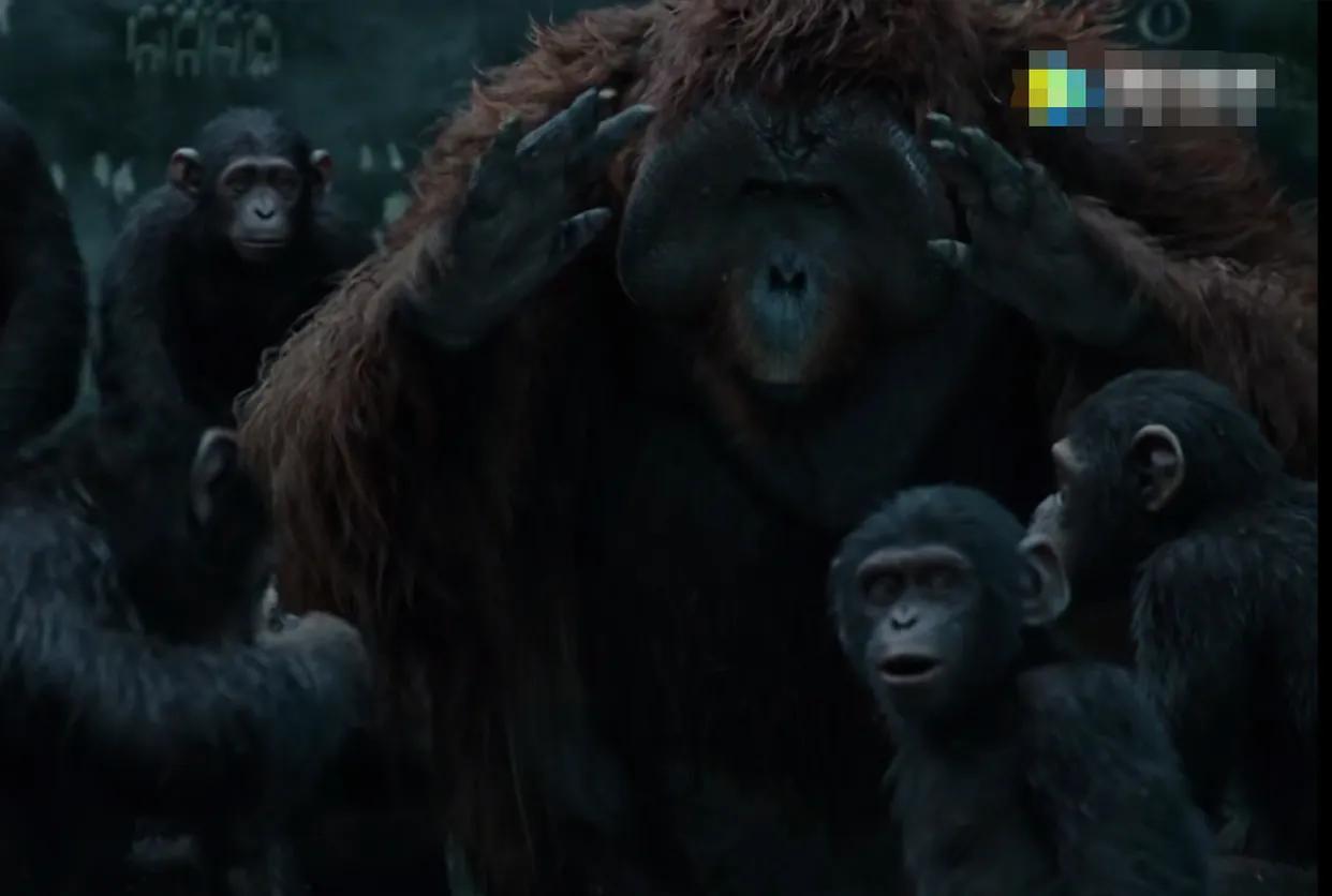 Science fiction movie: "Ape flu" broke out in humans, almost extinct ...