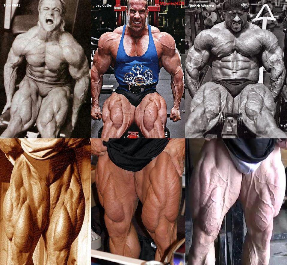 Inventory of the 20 strongest legs in the history of bodybuilding ...