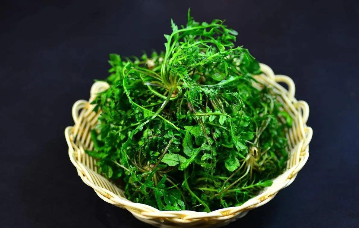 A bowl of wild vegetables boiled spring water - iNEWS