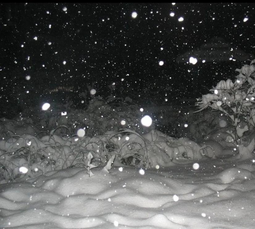 My Thoughts on Reading Liu Yiqing's "Song of Snow" - iNEWS