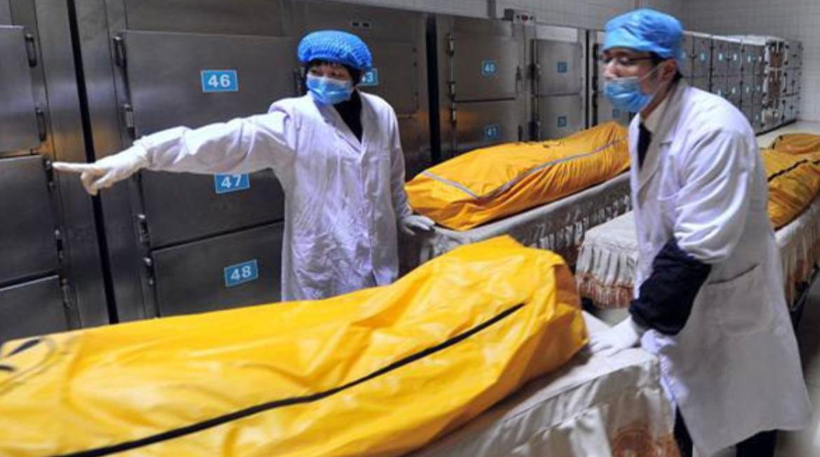 How stinky is the "corpse odor" that people emit after death, and how ...