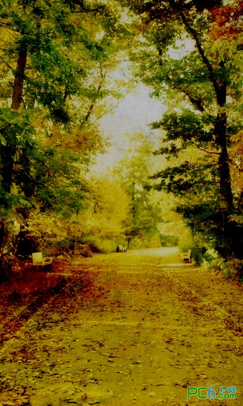 Huatuo and Mafei Powder - iNEWS