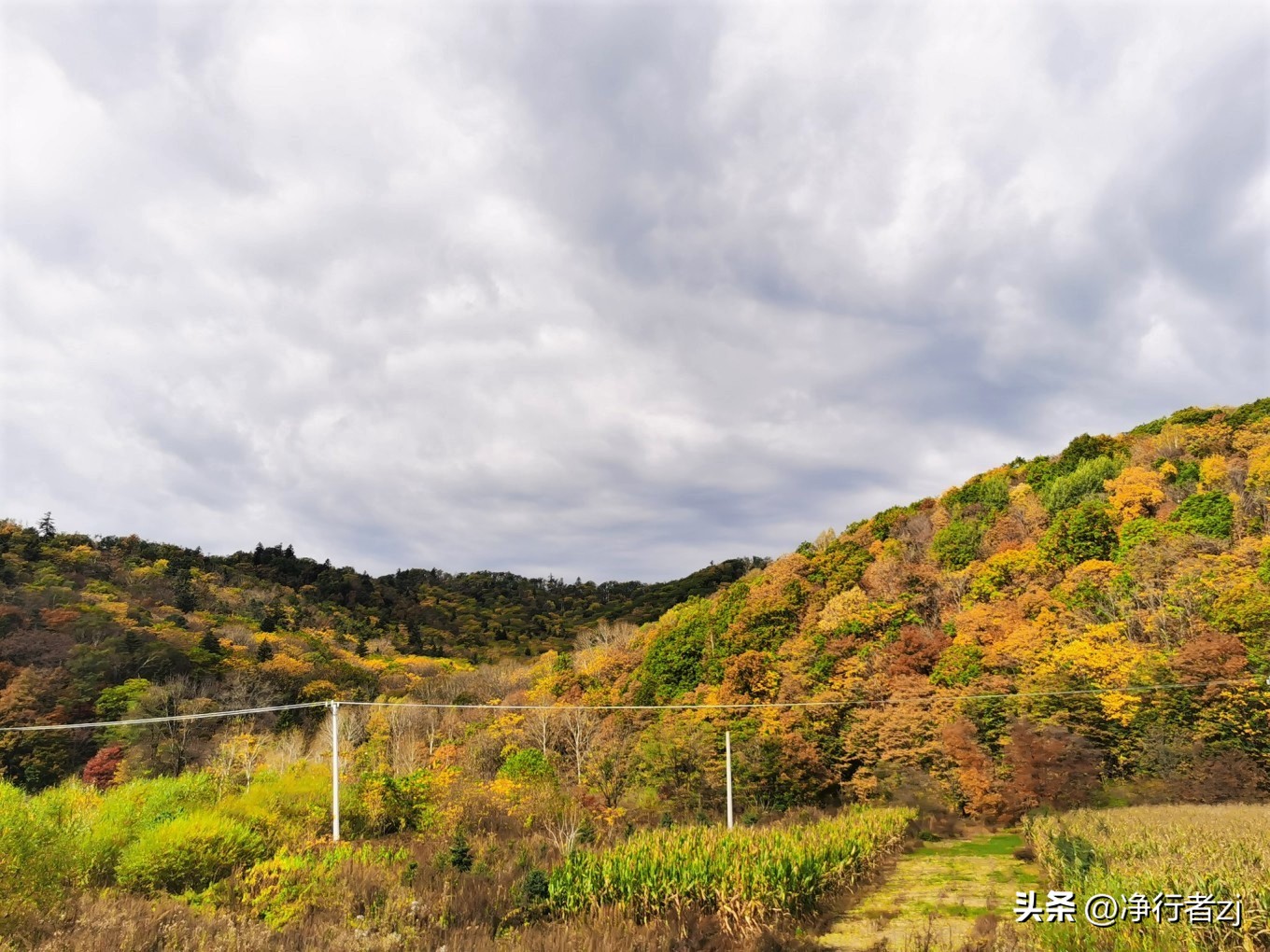"Travel Notes" From the Tumen River to the Yalu River Border City (8 ...