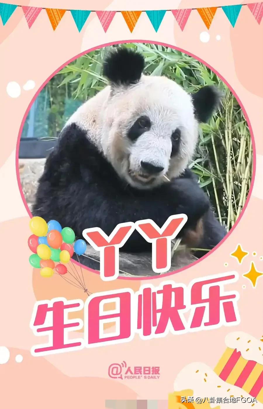 The giant panda Yaya celebrated her 23rd birthday. - iNEWS