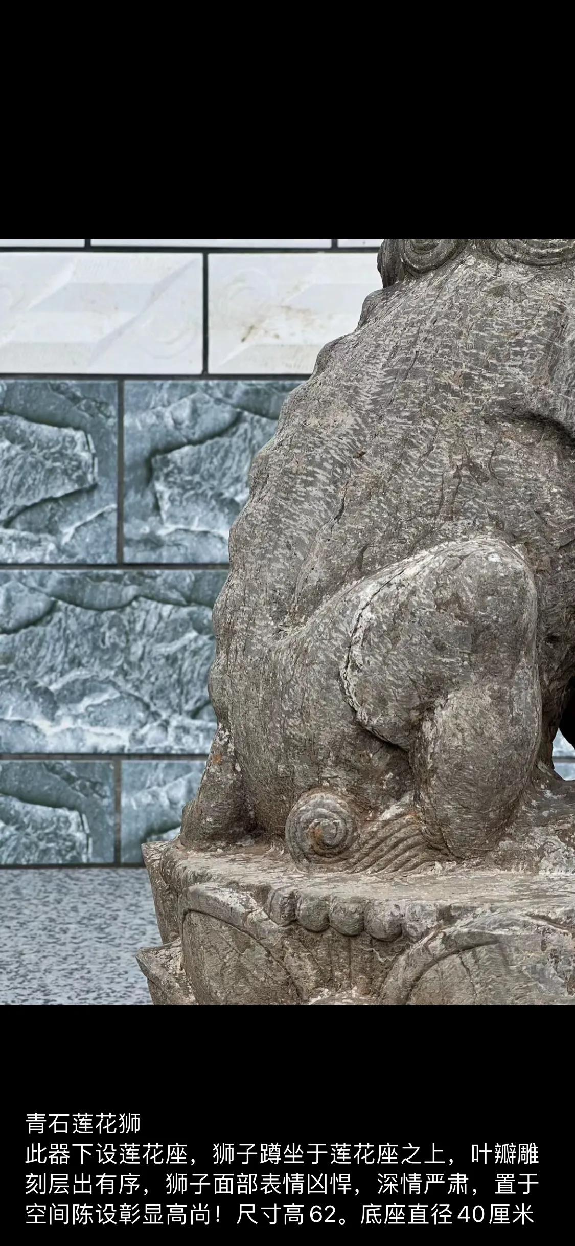 Bluestone Lotus Lion - iNEWS