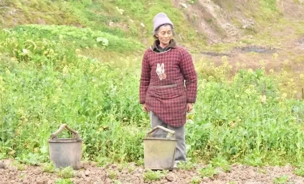 The 86-year-old grandma has never been sick, and the "secret" of her ...