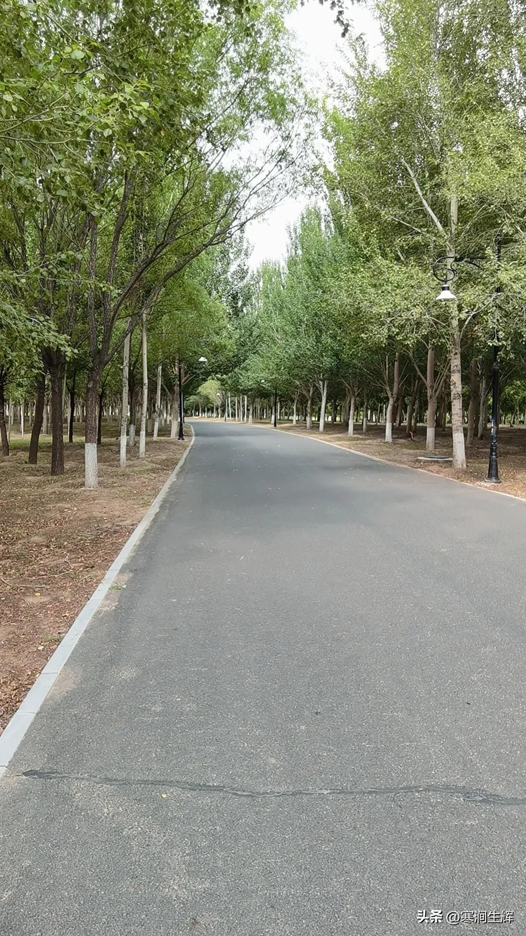 The widow weeps at night with ill-fated fate, and the evening scene of ...