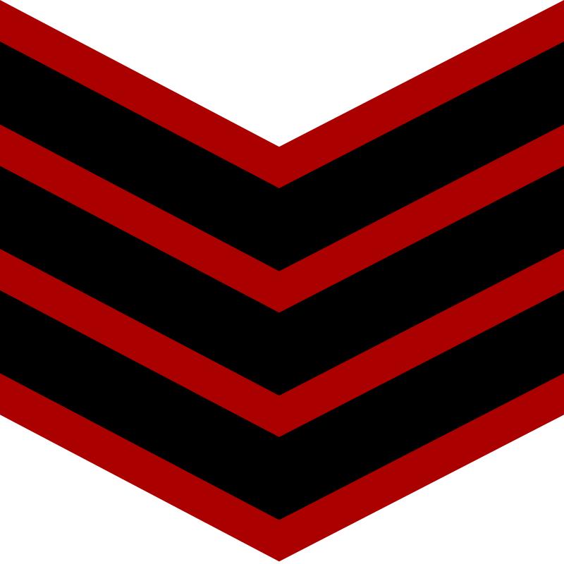 Myanmar Police Rank Mark - iNEWS