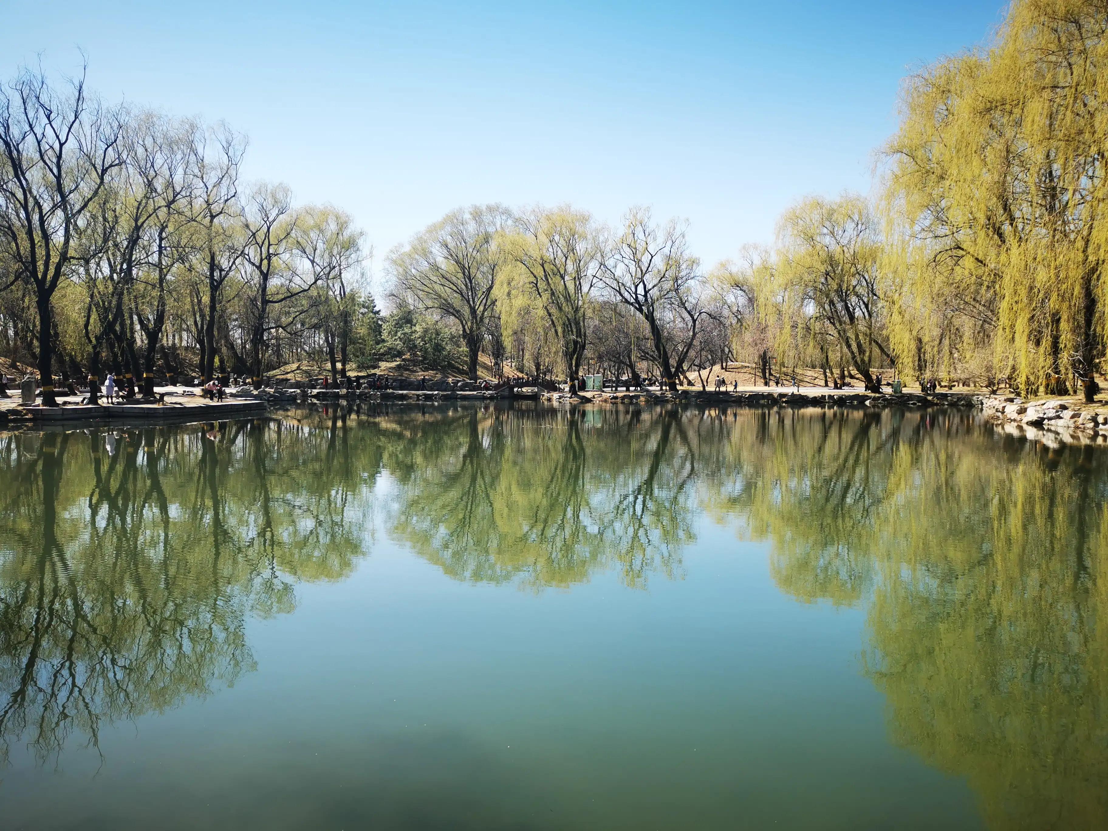 Willow spring breeze on March 3rd, painting bridges and fragrant ...