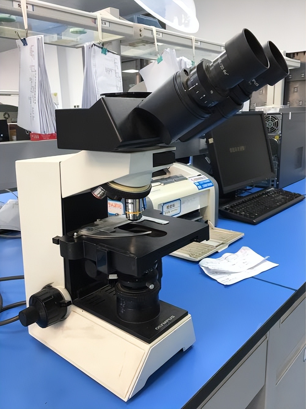 Correlative low-temperature super-resolution light and electron ...