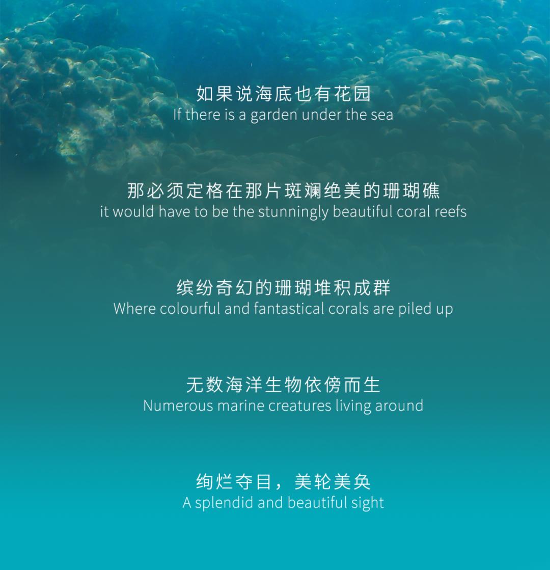 International brand Elizabeth tile 600x1350 "New Vision VISION+ ...