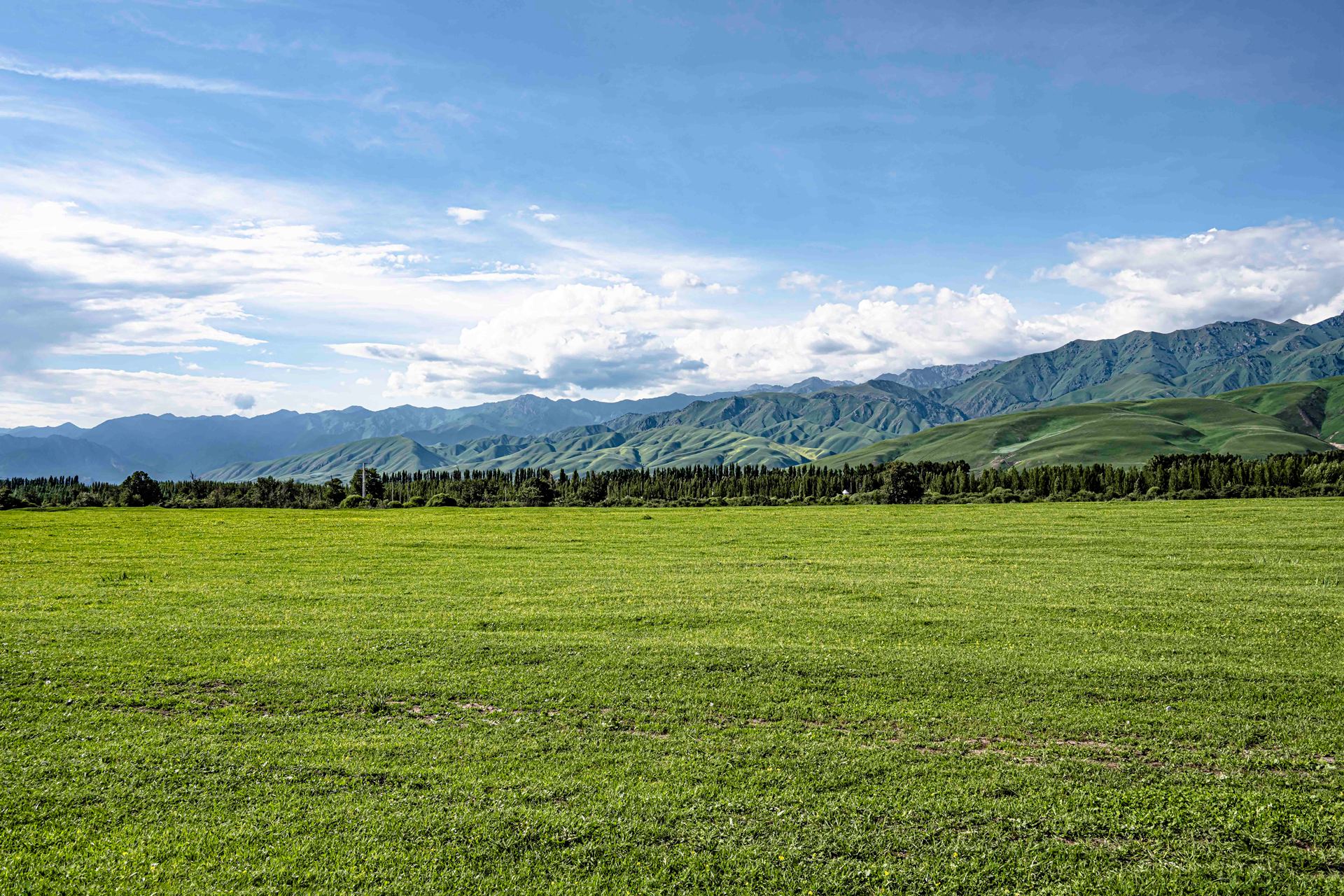 Nalati grassland, the vast sea of flowers - iMedia