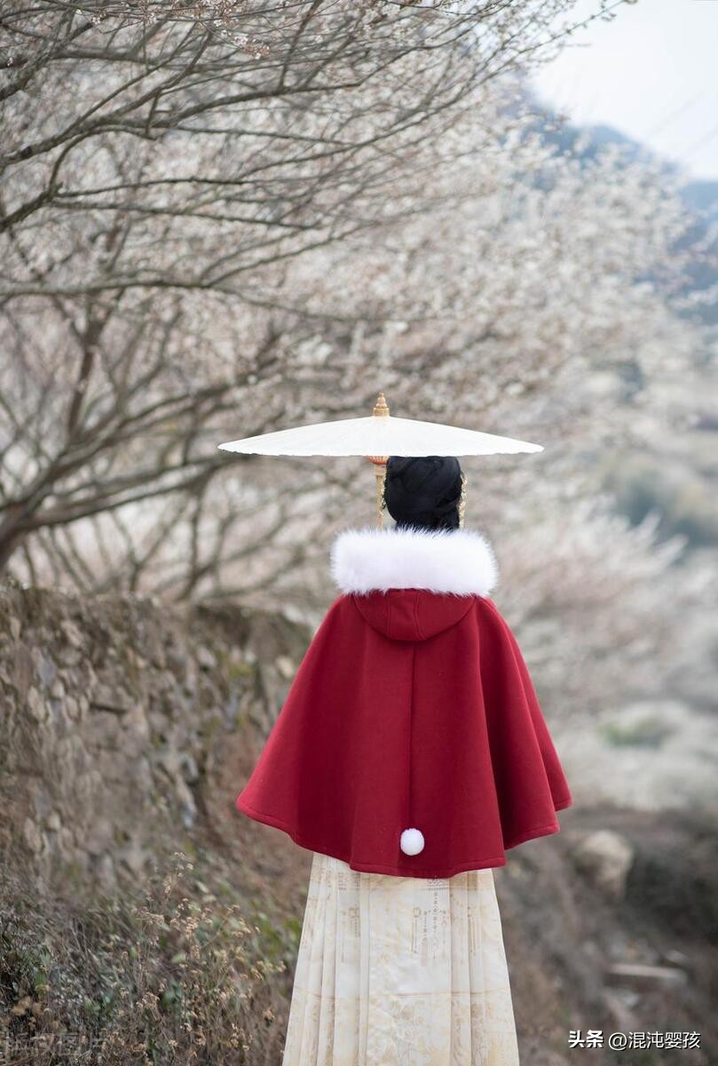 "Yao Hua Fu Gui Jiang Mei Miao" Zhu Yi's four poems have a clear and ...