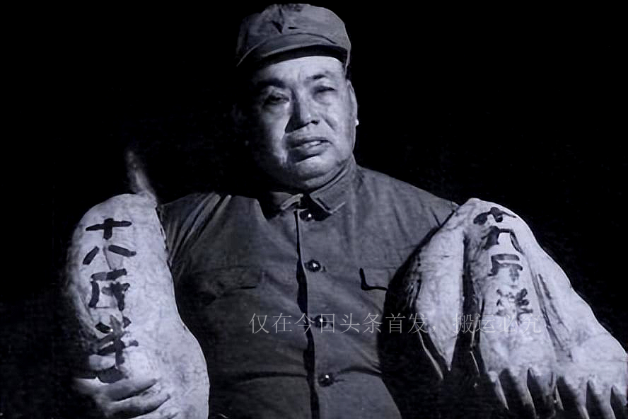 Ye Fei questioned Su Yu's poor marksmanship and fired several shots ...