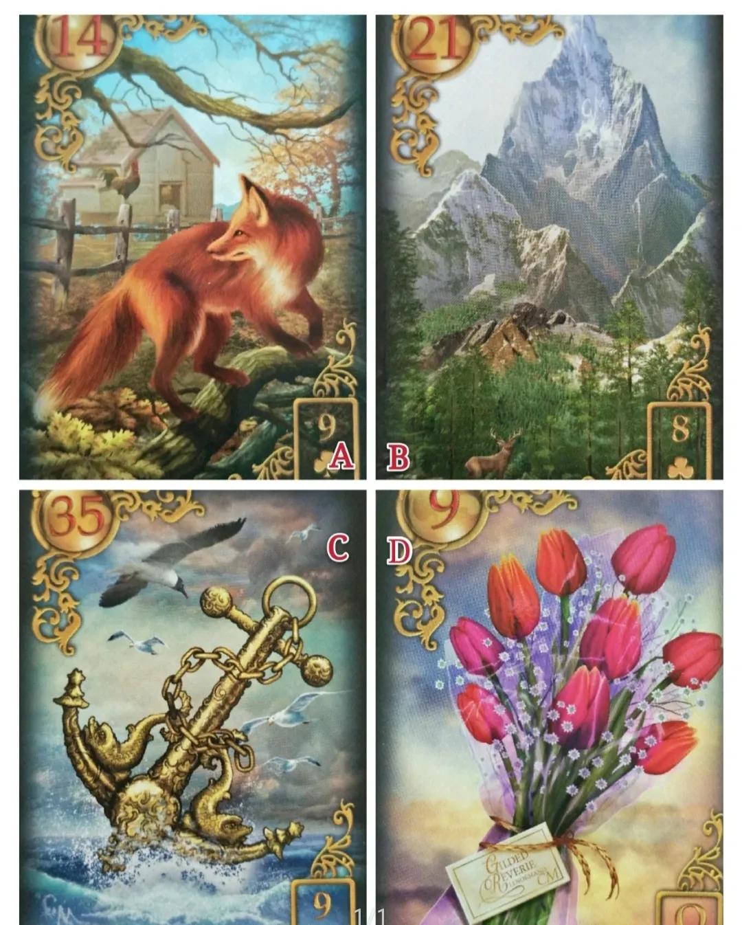 Are you suitable to invest in "Heraka Cards" in the near future? - iNEWS