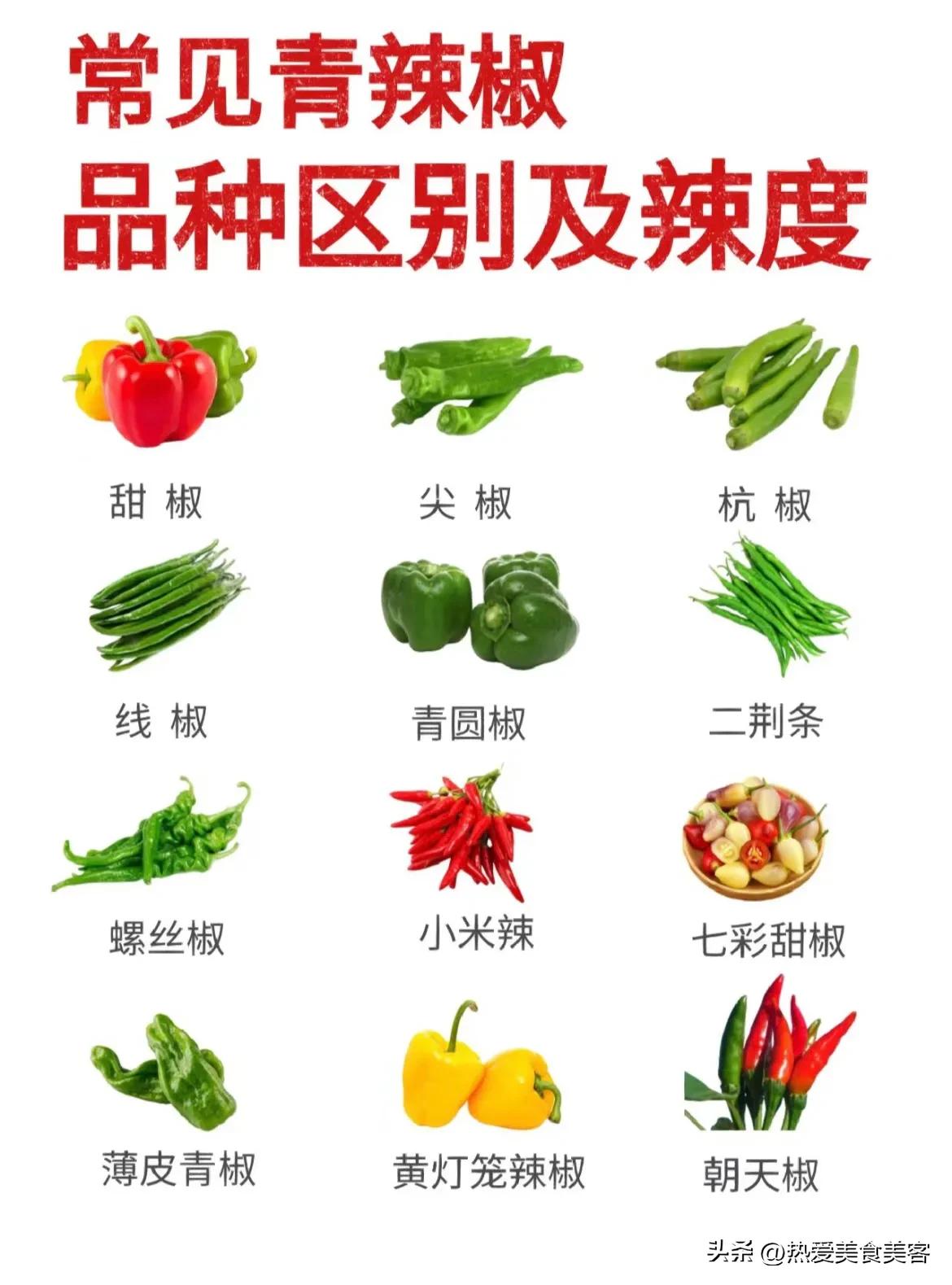 Common green and red pepper varieties and their differences - iMedia