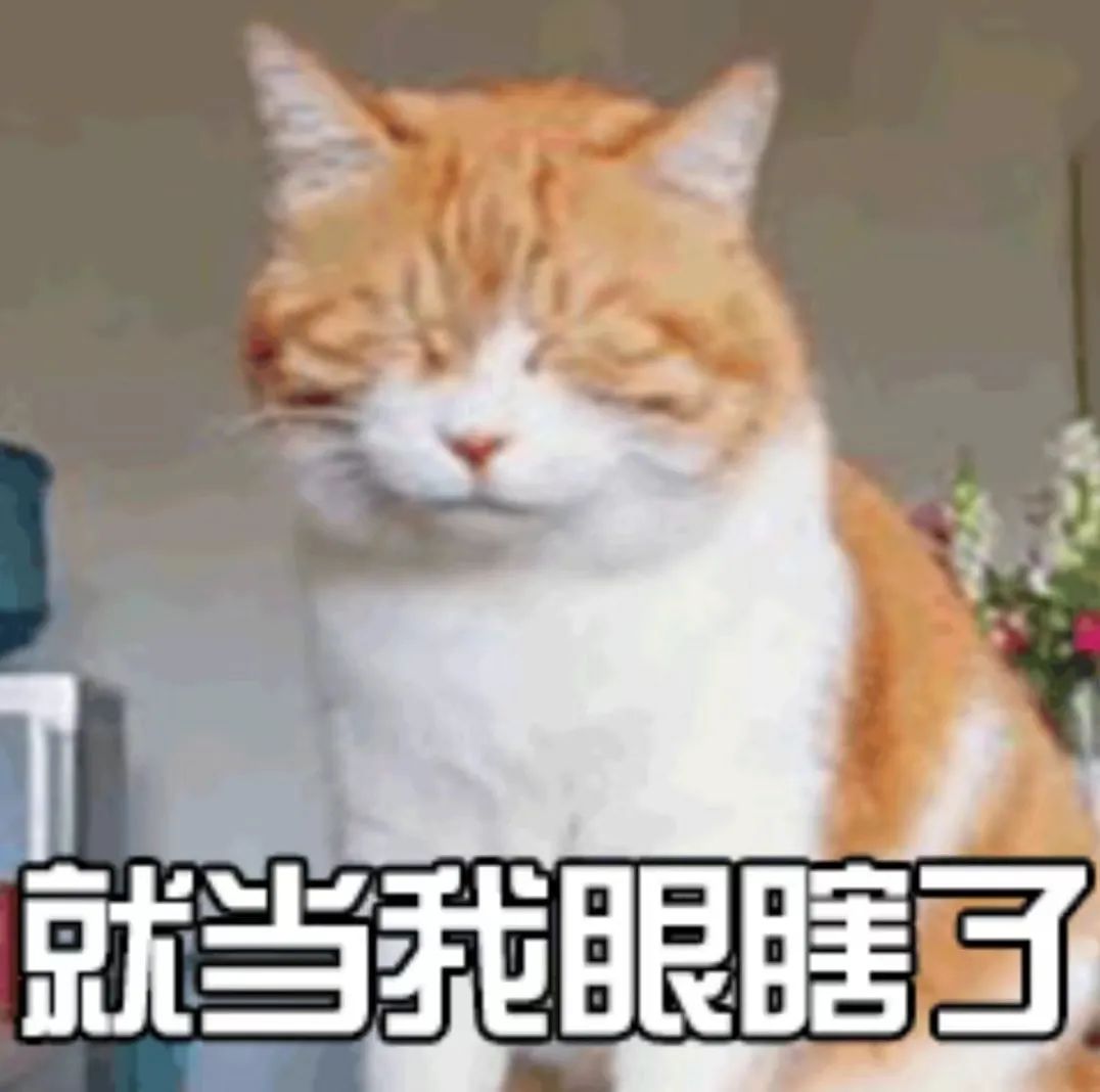 The old Gege group was caught fighting the fresh meat group - iNEWS