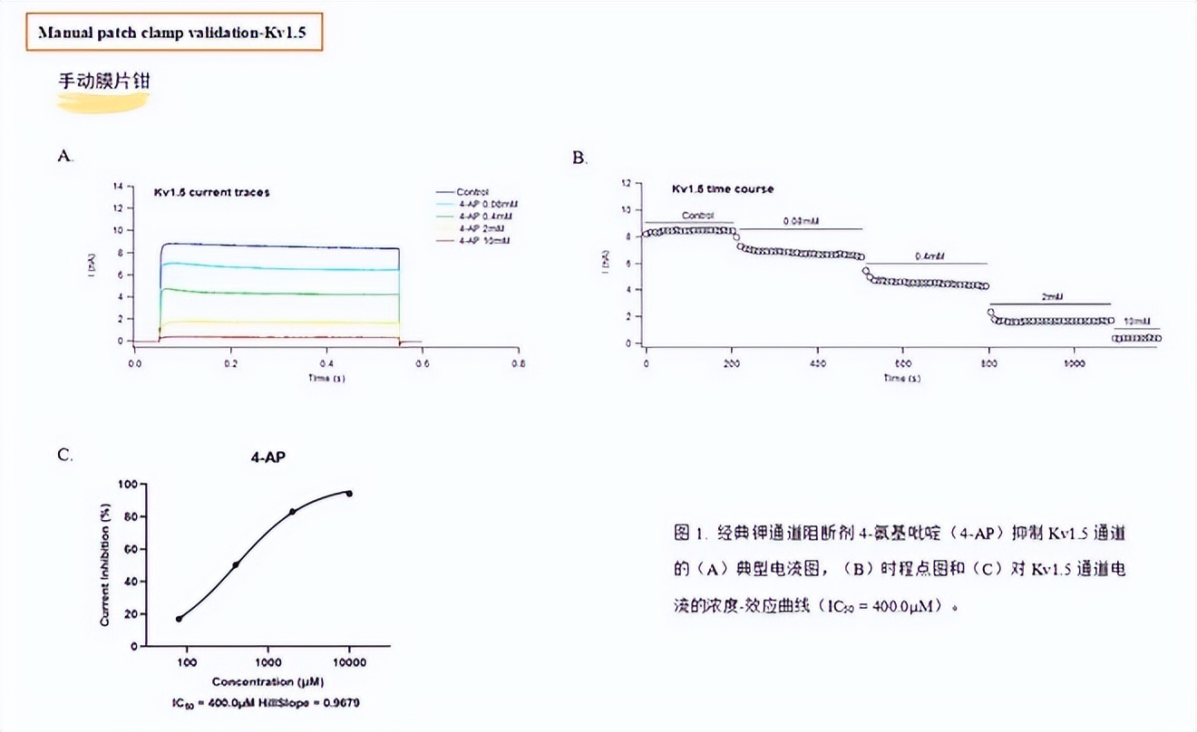 Ion Channel Detection - iNEWS